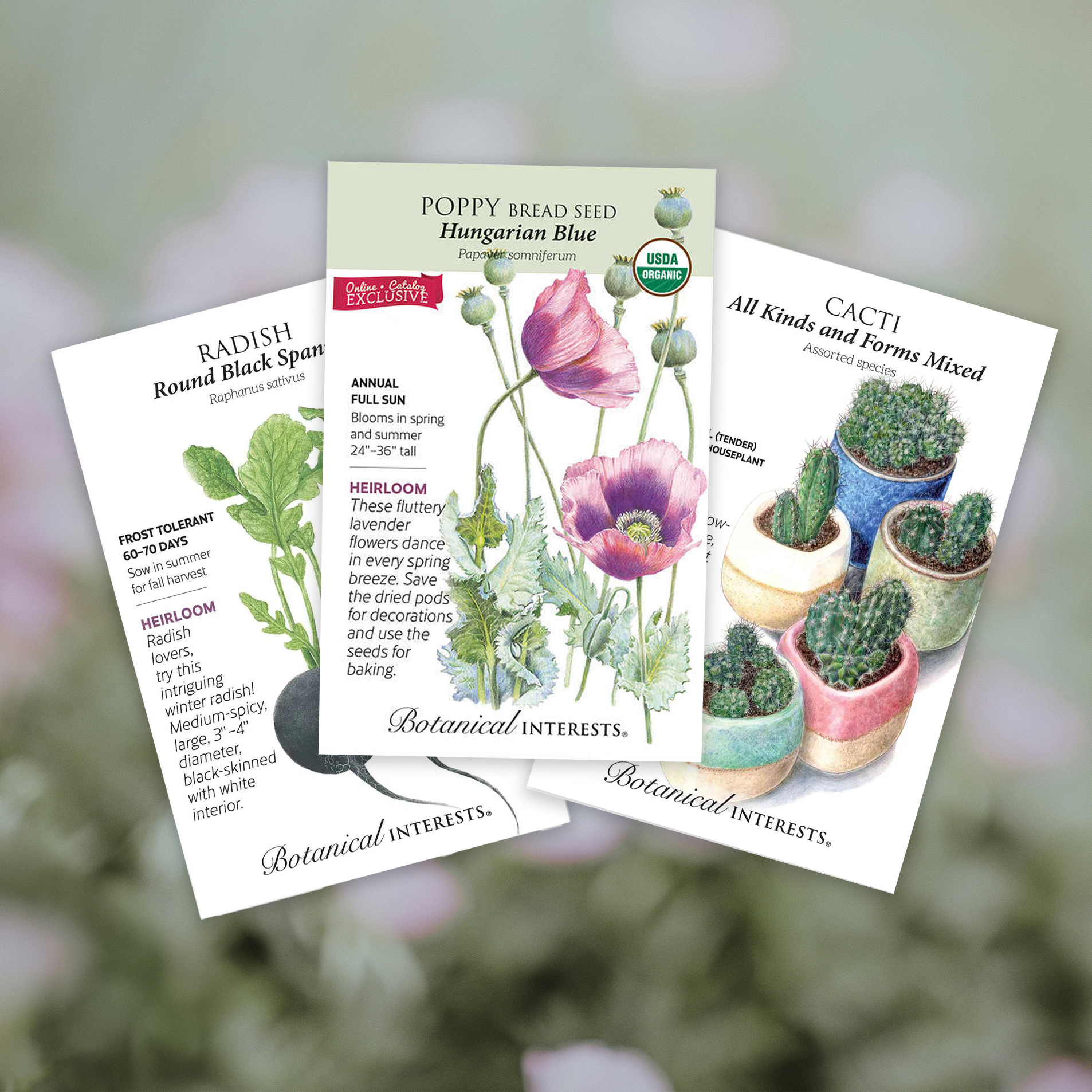 Online Exclusives – Botanical Interests