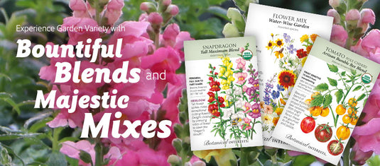 Seed Mixes & Blends – Botanical Interests