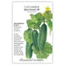 Spacemaster 80 Cucumber Seeds – Botanical Interests