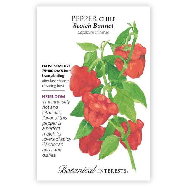 Scotch Bonnet Chile Pepper Seeds – Botanical Interests