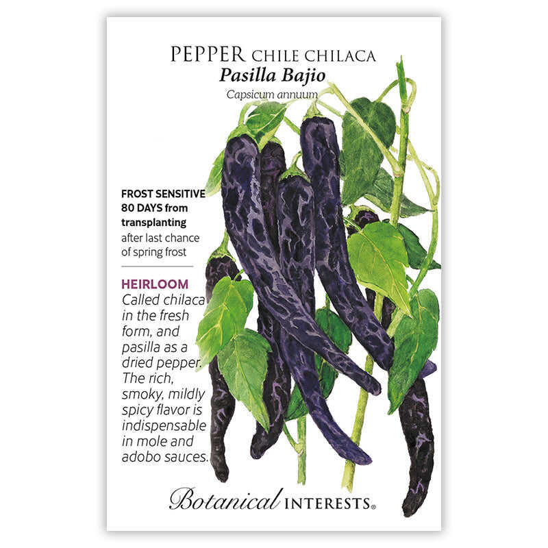 Pasilla Bajio Chilaca Chile Pepper Seeds – Botanical Interests