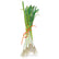 Tokyo Long White Bunching/Scallion Onion Seeds – Botanical Interests