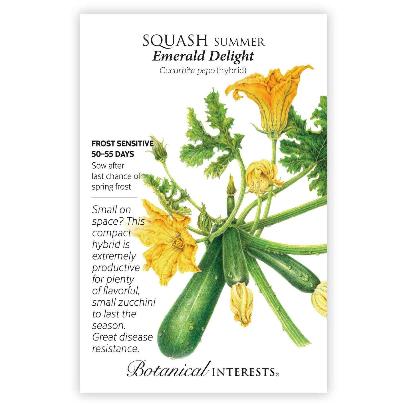 Emerald Delight Summer Squash Seeds – Botanical Interests