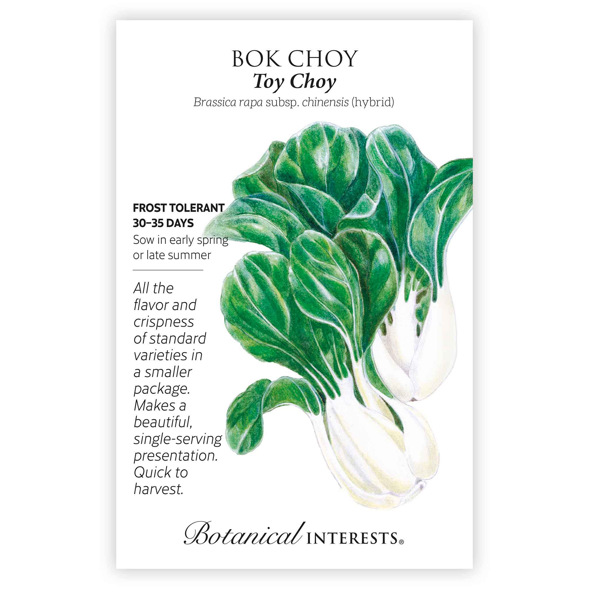 Toy Choy Bok Choy Seeds – Botanical Interests