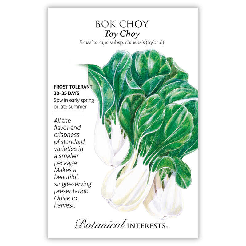 Toy Choy Bok Choy Seeds – Botanical Interests
