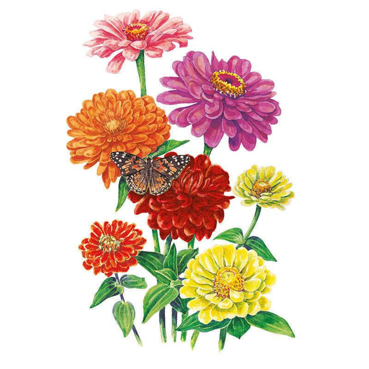 Rare and Unique Flowers – Botanical Interests