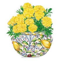 Lemon Drop French Marigold Seeds – Botanical Interests