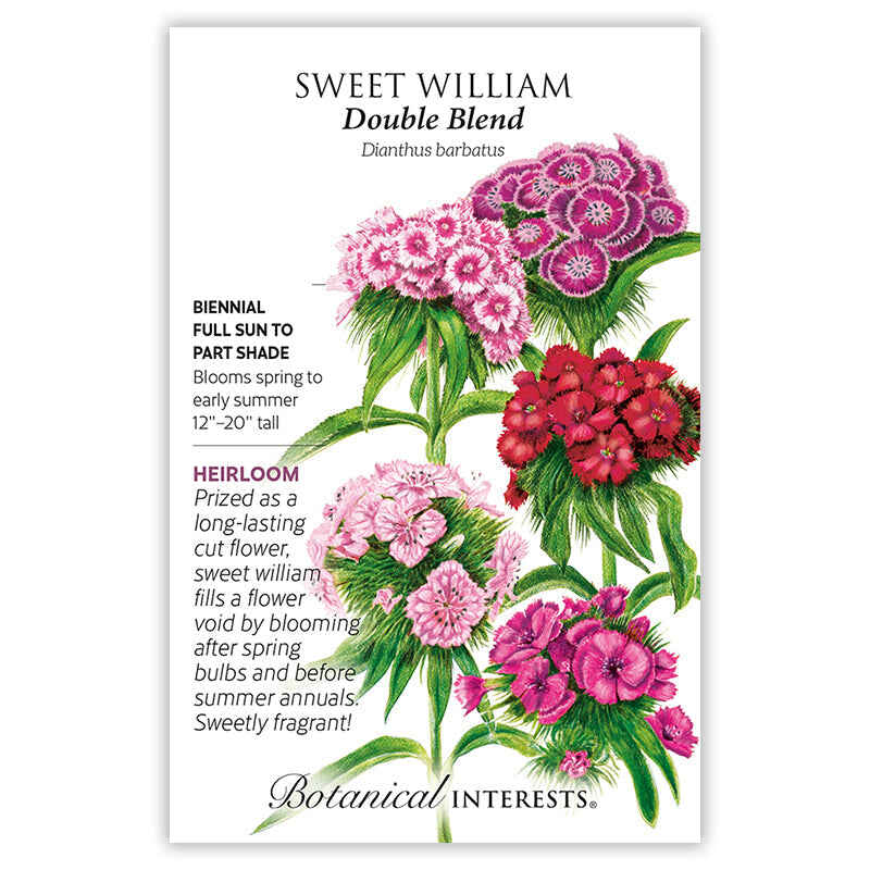 Double Blend Sweet William Seeds – Botanical Interests
