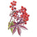 Impala Castor Bean Seeds – Botanical Interests