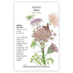 Dara Ammi Seeds – Botanical Interests
