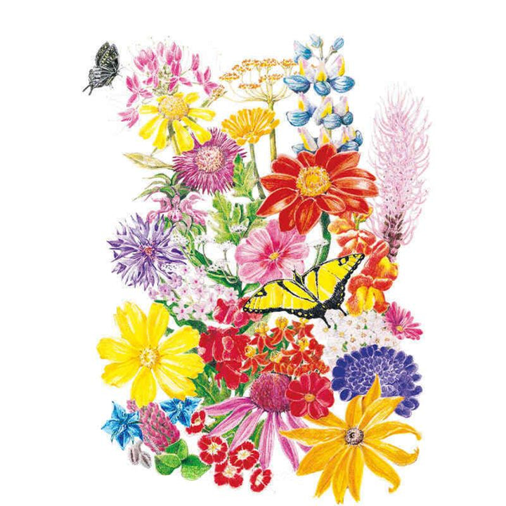 Flower Mix Seeds – Botanical Interests
