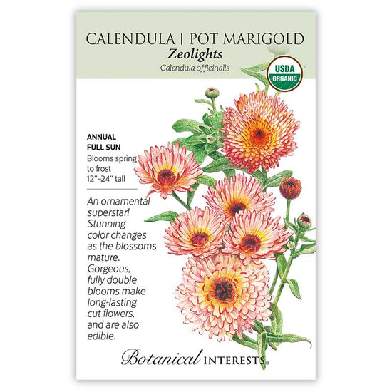 Zeolights Calendula (Pot Marigold) Seeds – Botanical Interests
