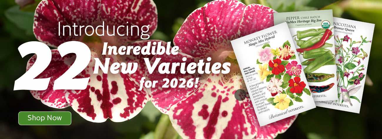 Botanical Interests High Quality Seeds and Garden Products