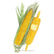 True Gold Sweet Corn Seeds – Botanical Interests