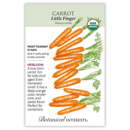Little Finger Carrot Seeds – Botanical Interests