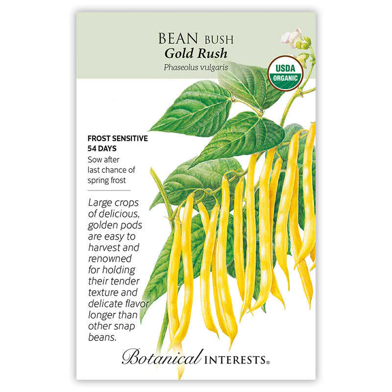 Gold Rush Bush Bean Seeds – Botanical Interests