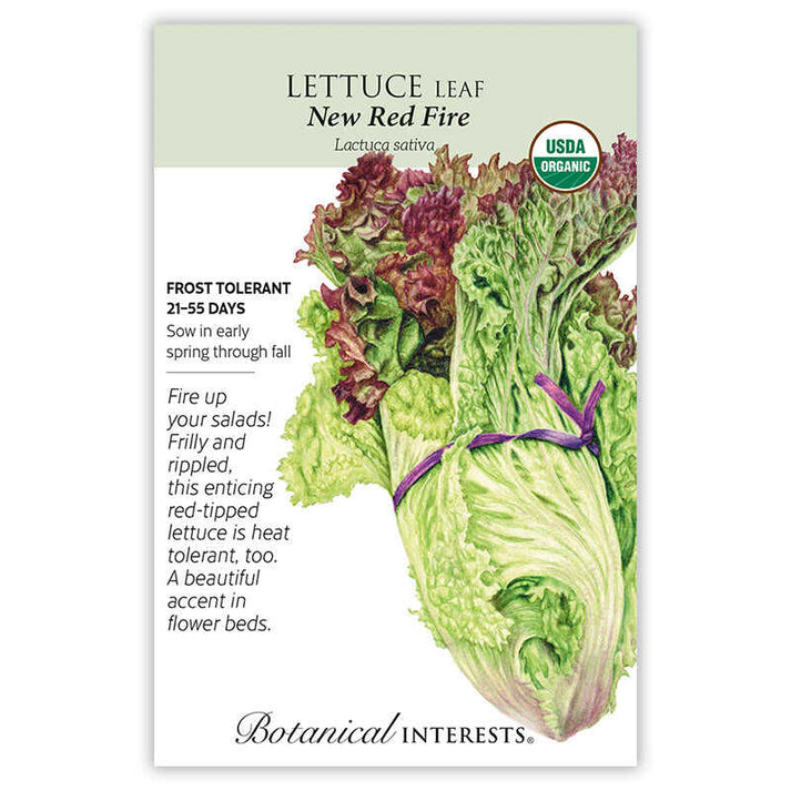 New Red Fire Leaf Lettuce Seeds – Botanical Interests