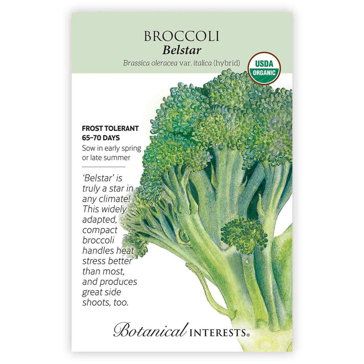 Belstar Broccoli Seeds – Botanical Interests