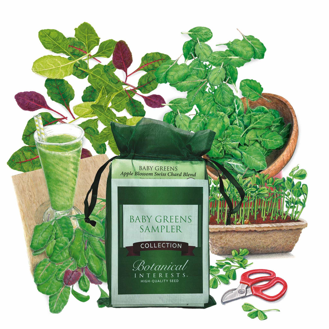 Baby Greens Seeds – Botanical Interests