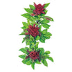 Cardinal Basil Seeds – Botanical Interests