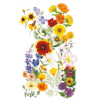 Water-Wise Garden Flower Mix Seeds – Botanical Interests