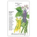Trio Bush Bean Seeds – Botanical Interests