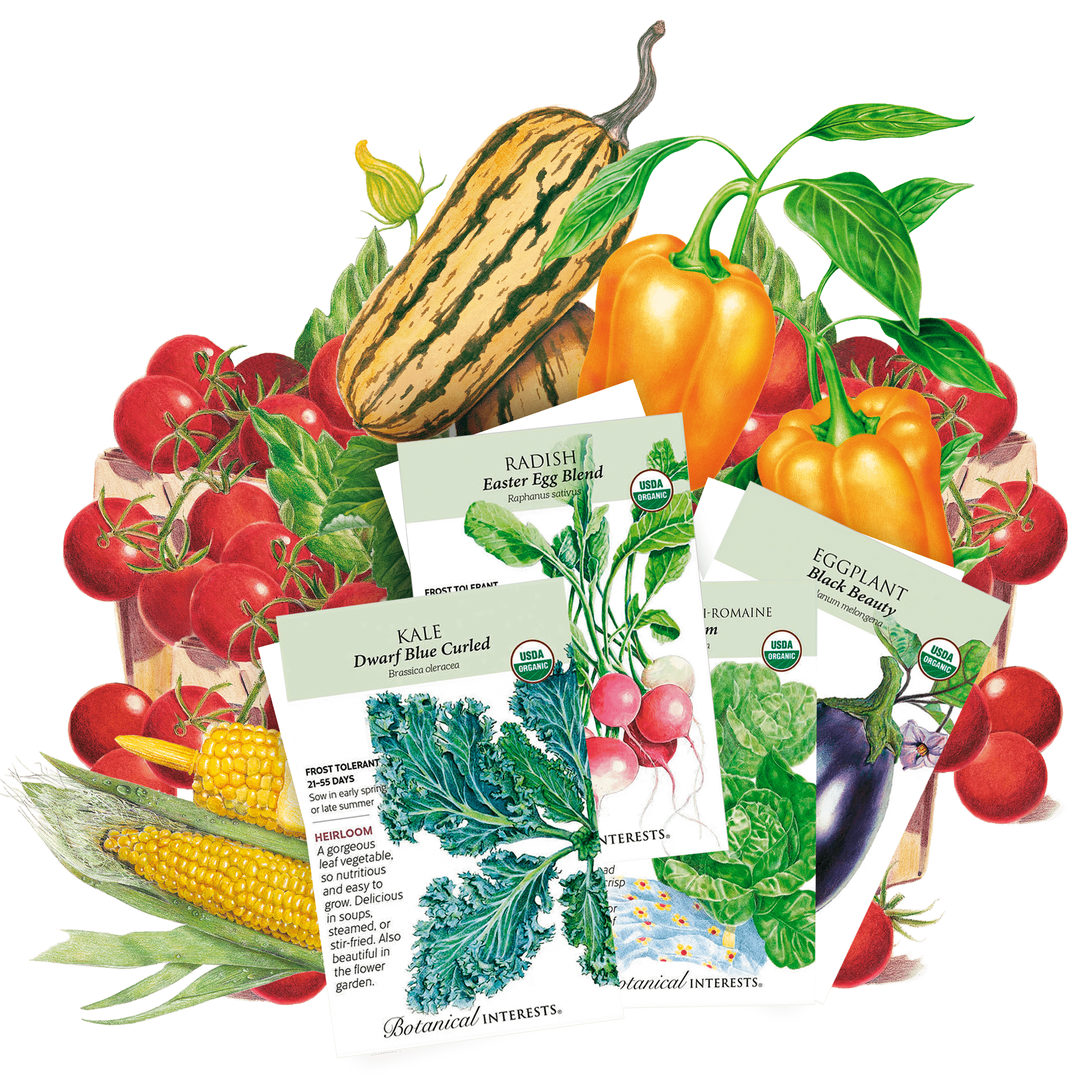 Spring Veggie Bundle – Botanical Interests