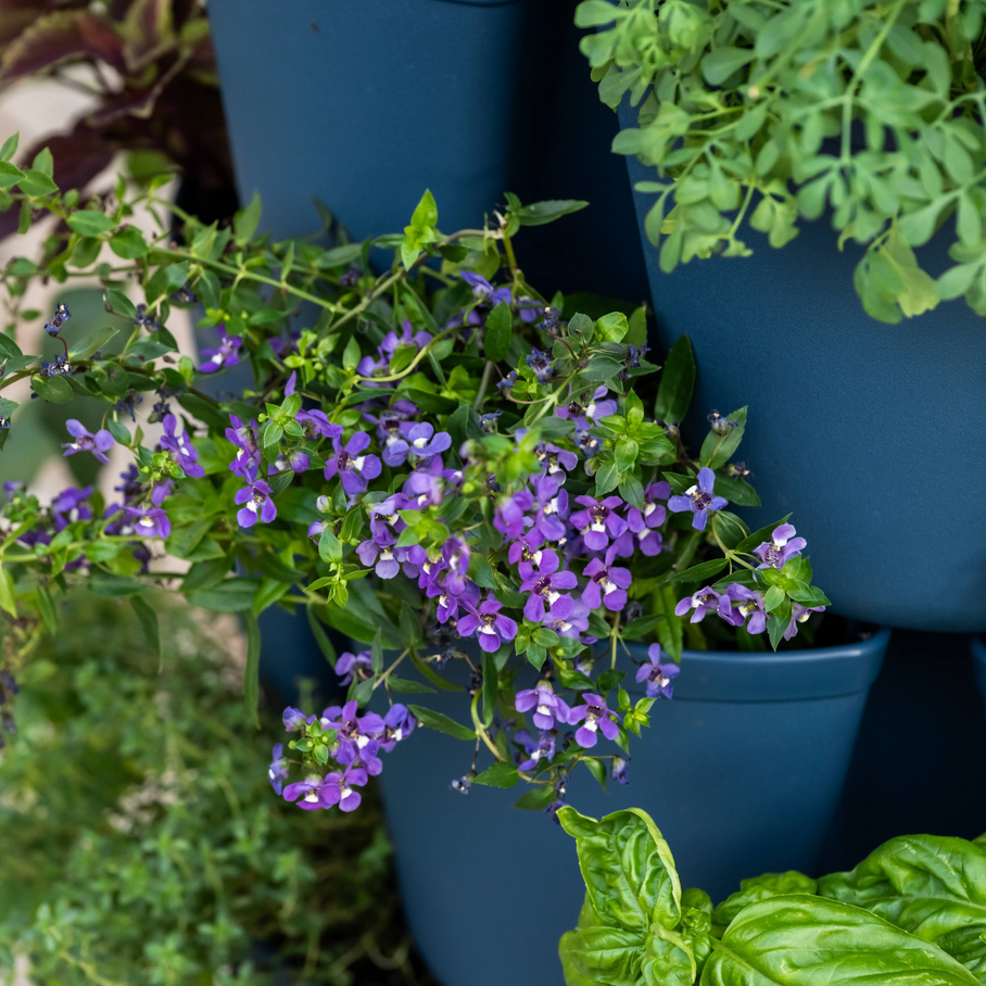 GreenStalk 5-Tier Vertical Planter – Botanical Interests