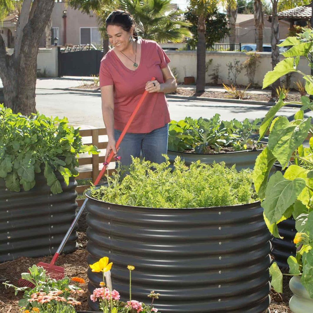 Raised Beds – Botanical Interests