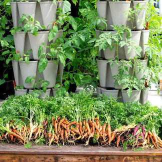 GreenStalk 5 Tier Vertical Planter – Botanical Interests