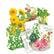 My First Garden Seed Bundle – Botanical Interests
