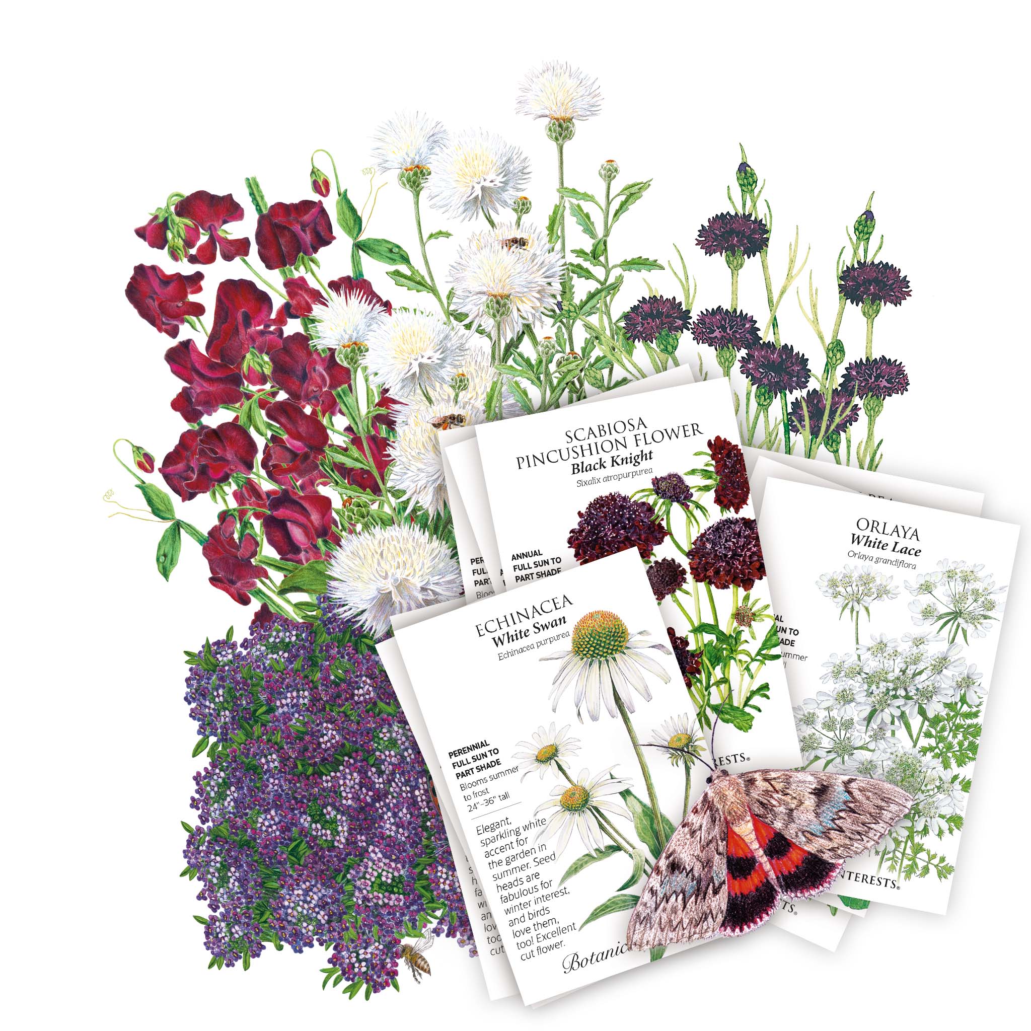 The Goth Garden Bundle – Botanical Interests