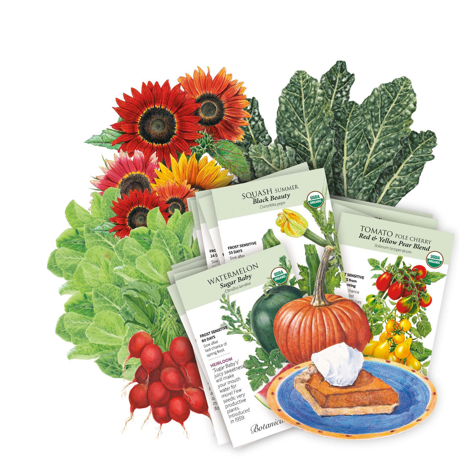 Botanical Interests High Quality Seeds and Garden Products