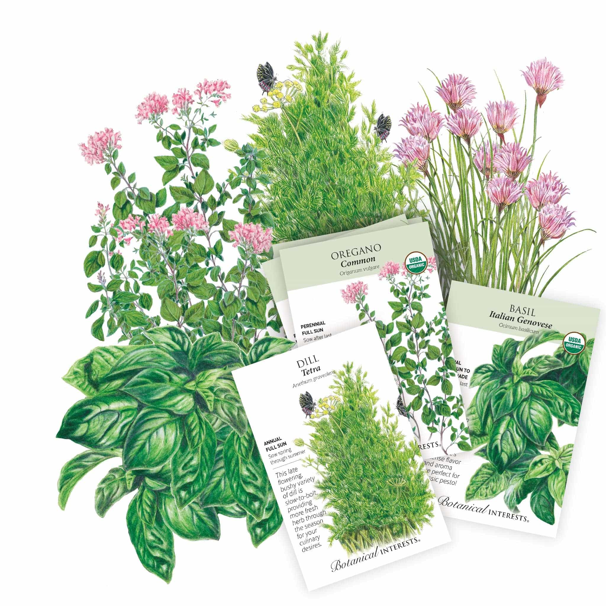 Botanical Interests High Quality Seeds and Garden Products