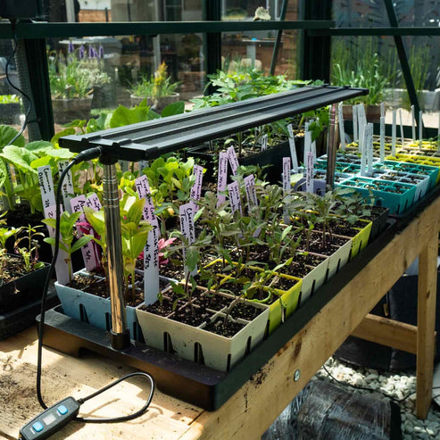 Epic Seed Starting Grow Lights Standard – Botanical Interests