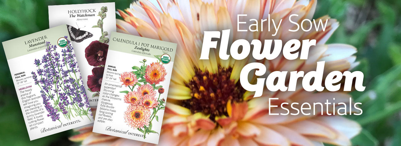 Botanical Interests High Quality Seeds and Garden Products