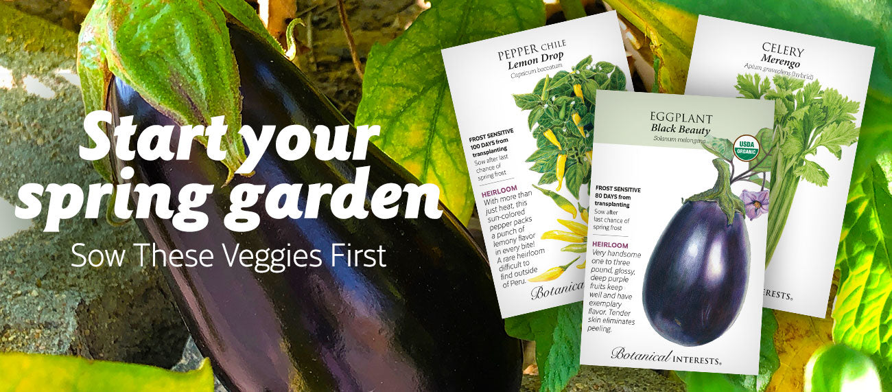 Botanical Interests High Quality Seeds and Garden Products