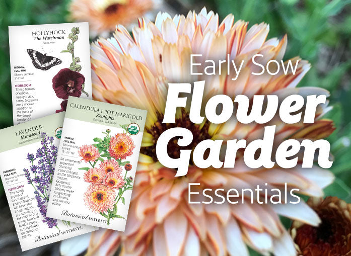 Botanical Interests High Quality Seeds and Garden Products