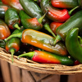 Megatron Jalapeño Chile Pepper Seeds – Botanical Interests
