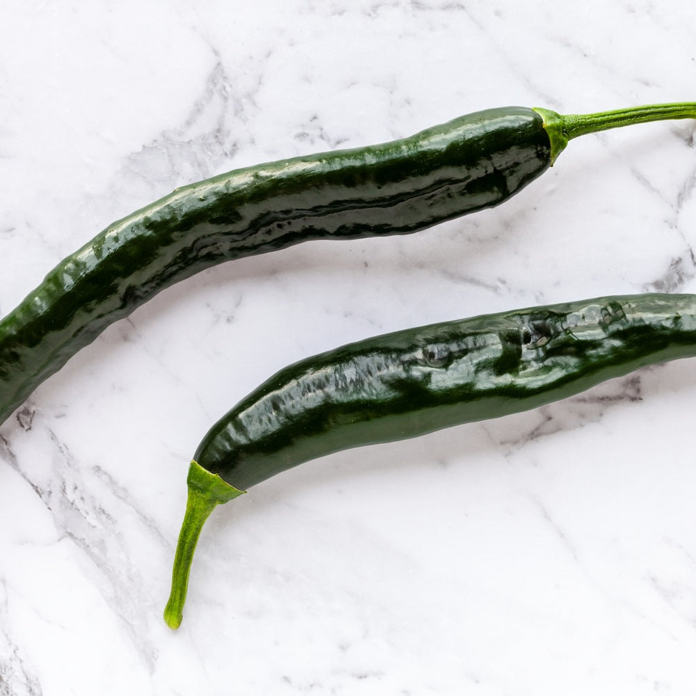 Pasilla Bajio Chilaca Chile Pepper Seeds – Botanical Interests