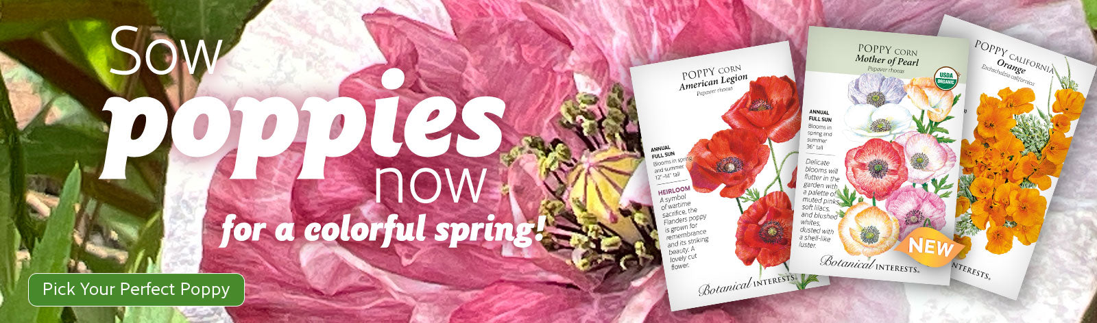 Botanical Interests High Quality Seeds and Garden Products