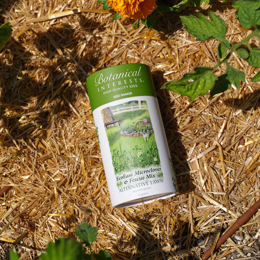 Seed-Starting for Beginners: The Complete Guide – Botanical Interests