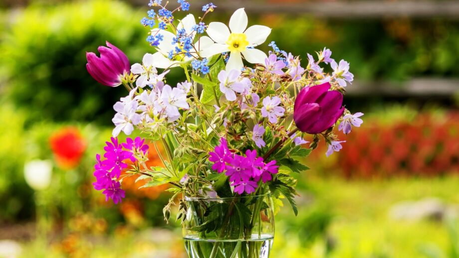 Cut Flowers: Choosing and Arranging