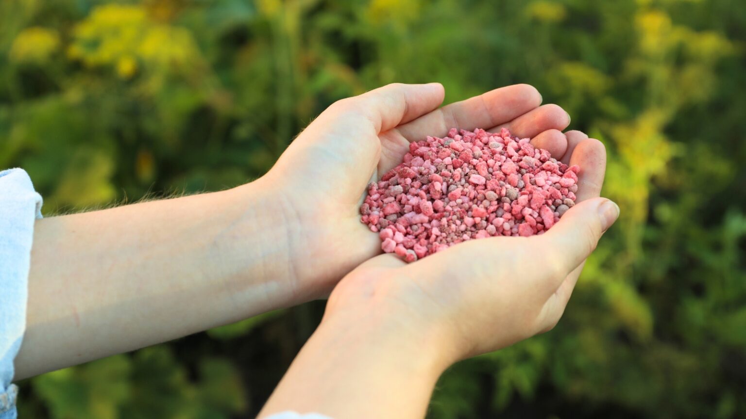 Fertilizer: Which To Use and When