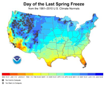 Average Last Frost Dates and Maps
