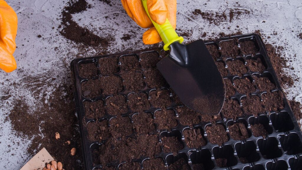 Seed-Starting for Beginners: The Complete Guide