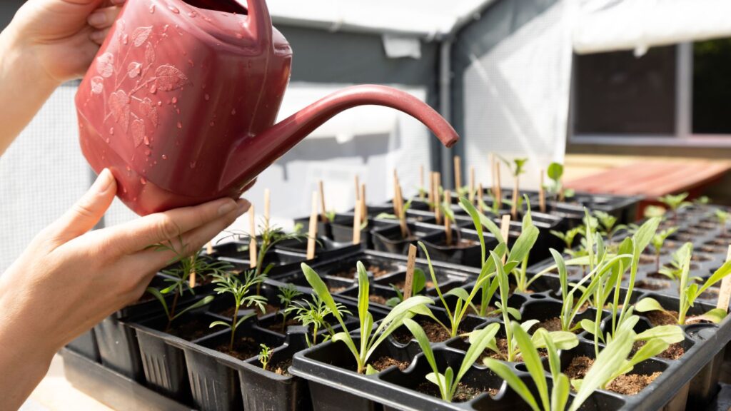 11 Ways to Make Seed-Starting Easier This Year