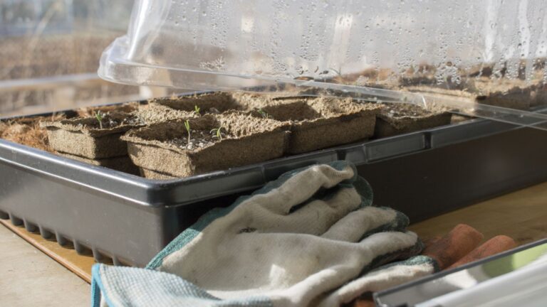 How to Use a Seed-Starting Heat Mat to Improve Germination