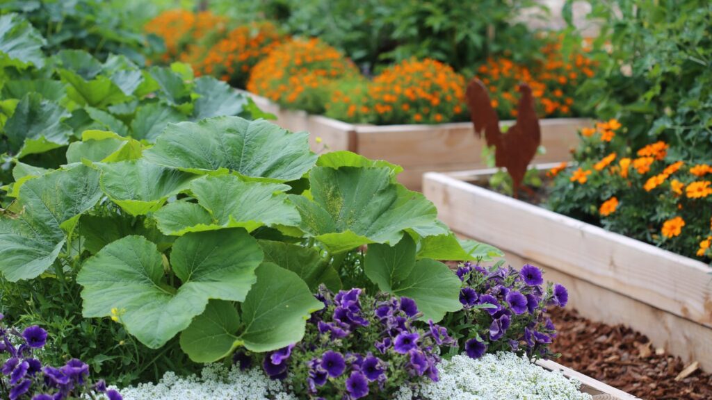 The Best Seeds to Plant in February for Your Gardening Zone