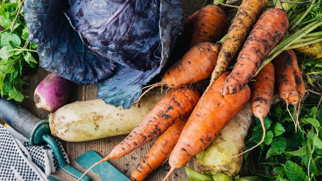 15 Winter Vegetables That Survive Frost and Snow